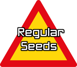 Premium Cannabis Seeds | Shop Now | Humboldt CSI